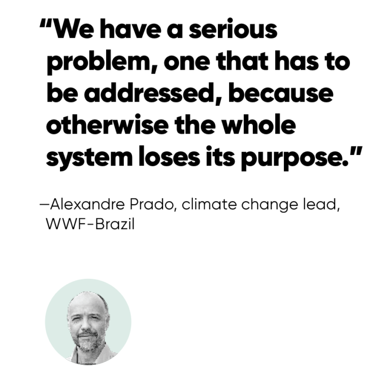 Can Brazil save its carbon markets?